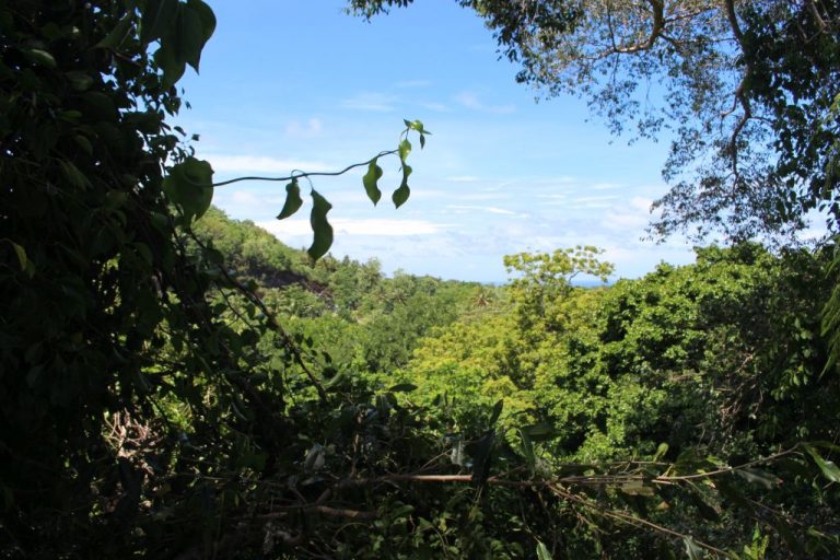 Nine Things To Do In: Savai'i, Samoa - Travel Spotter